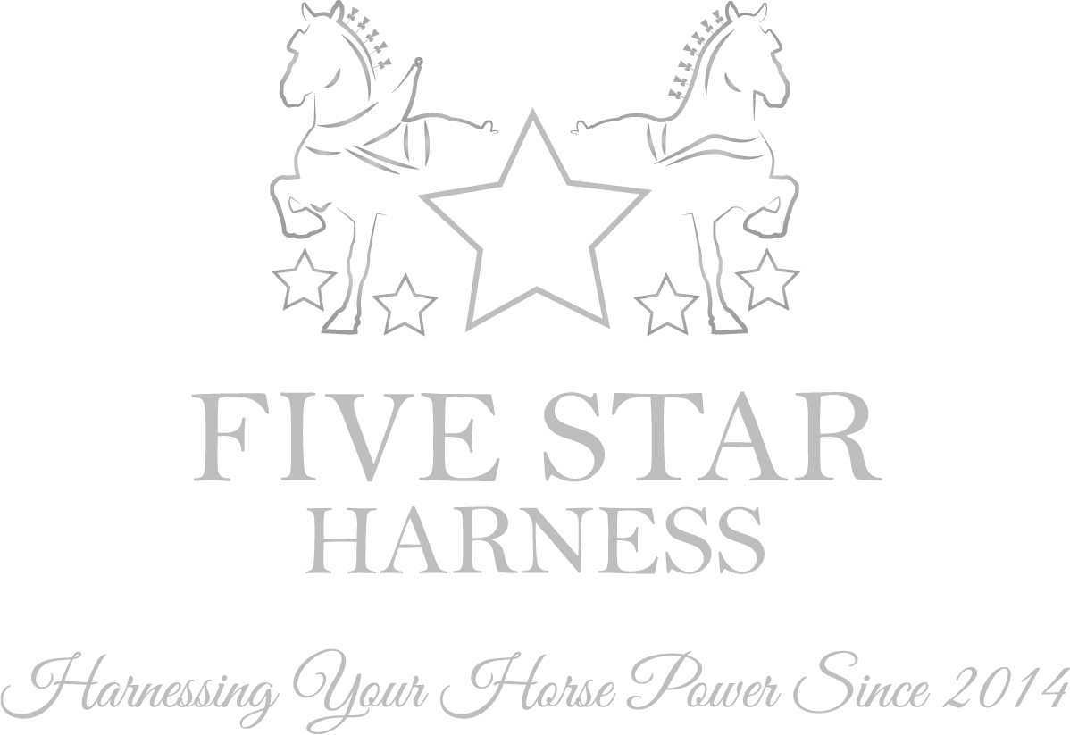 There is something about the outside of a horse that is good for the ...